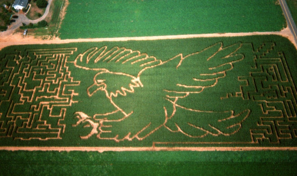 Eagle_Maze – The Corn Maze Guy